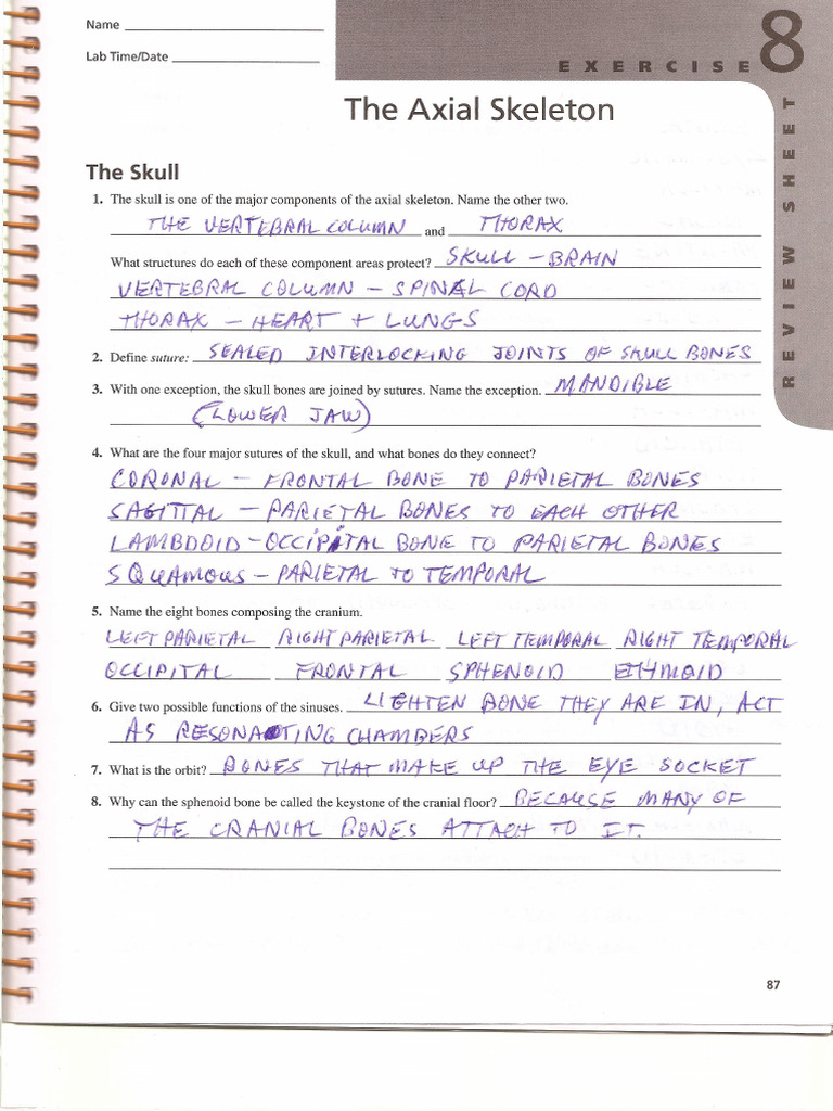 Lab_Ex._8_Review_Sheet_Answers0001 | PDF