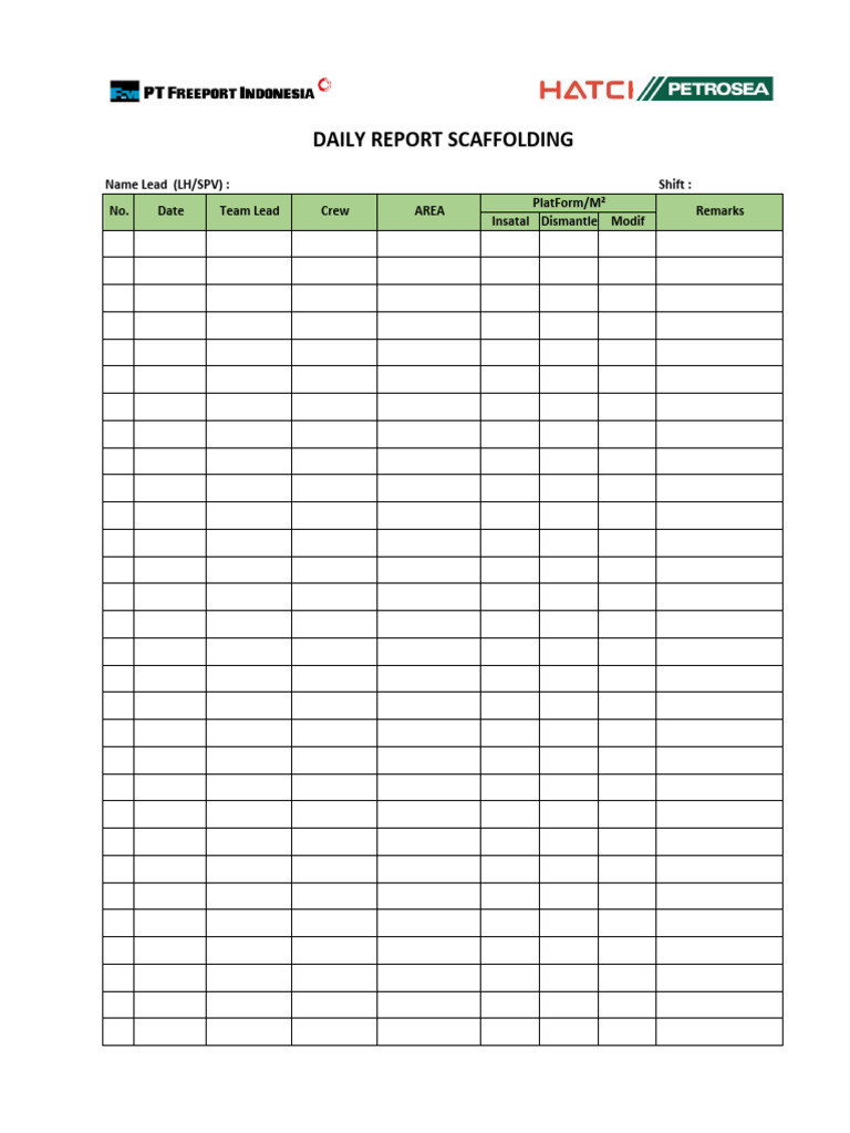 Daily Report Form | PDF