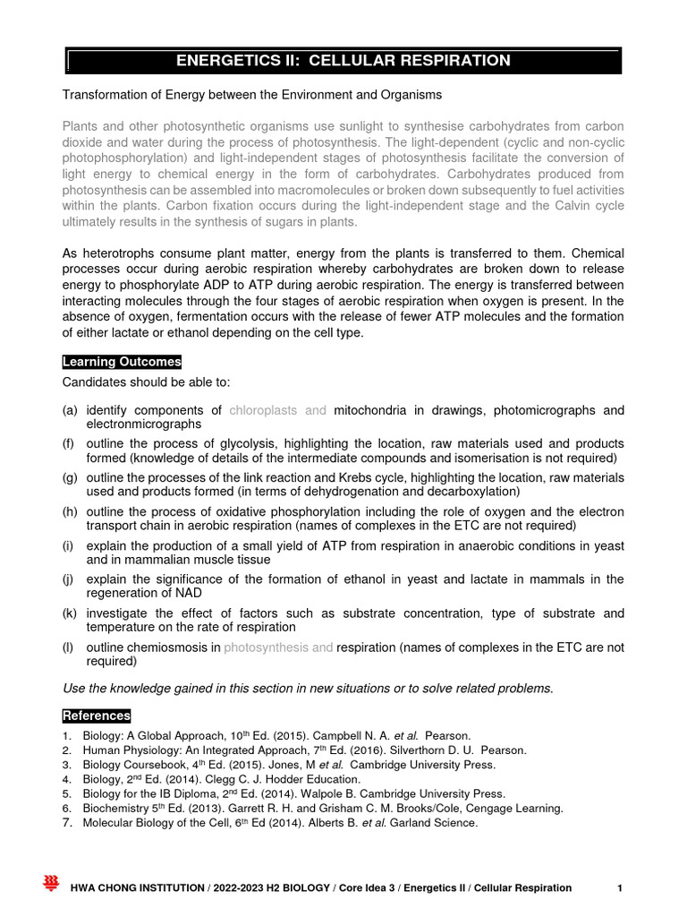 Cellular Respiration Notes | PDF | Cellular Respiration | Glycolysis