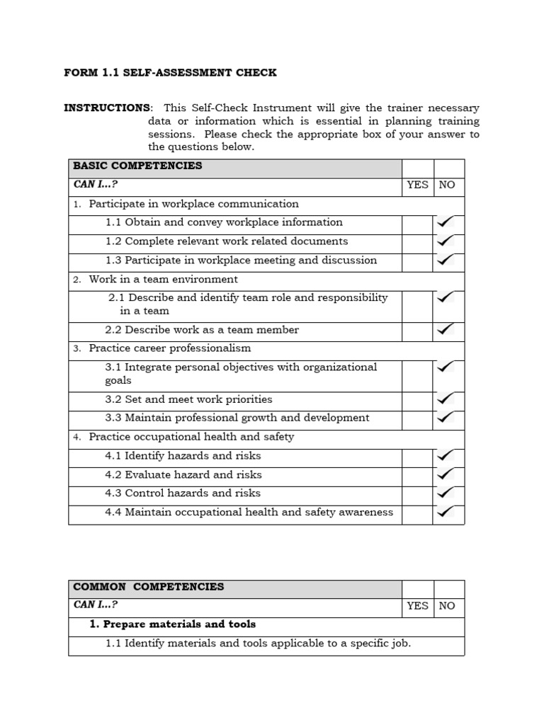 Form 1.1 SELF-ASSESSMENT Check | PDF | Electrical Wiring | Lighting
