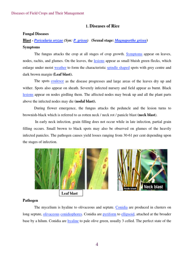 Diseases of Field Crops | Download Free PDF | Organisms | Branches Of Botany