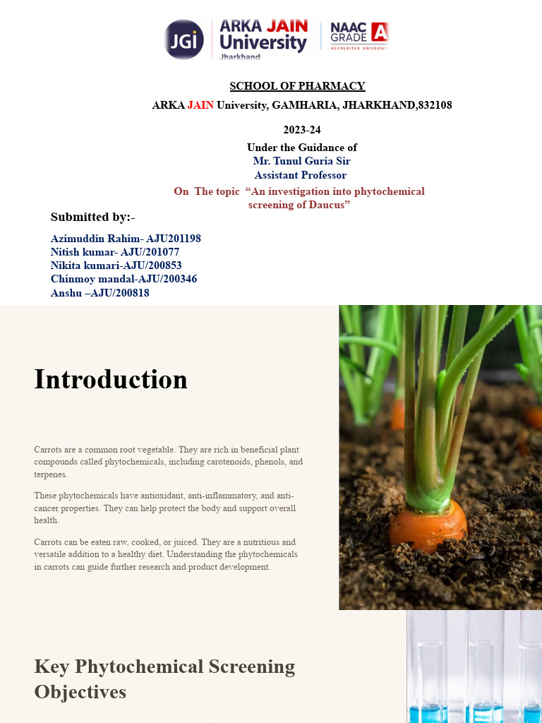 Introduction To Carrots 0 | PDF | Polyphenol | Carrot