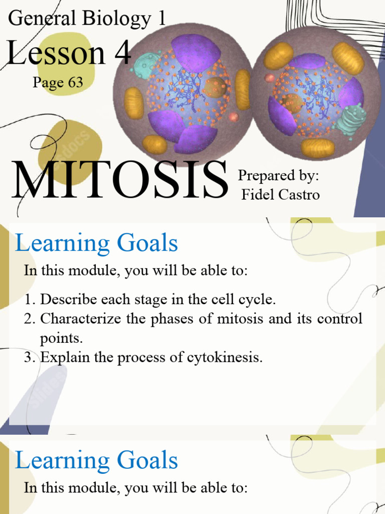 MITOSIS | PDF | Mitosis | Chromosome