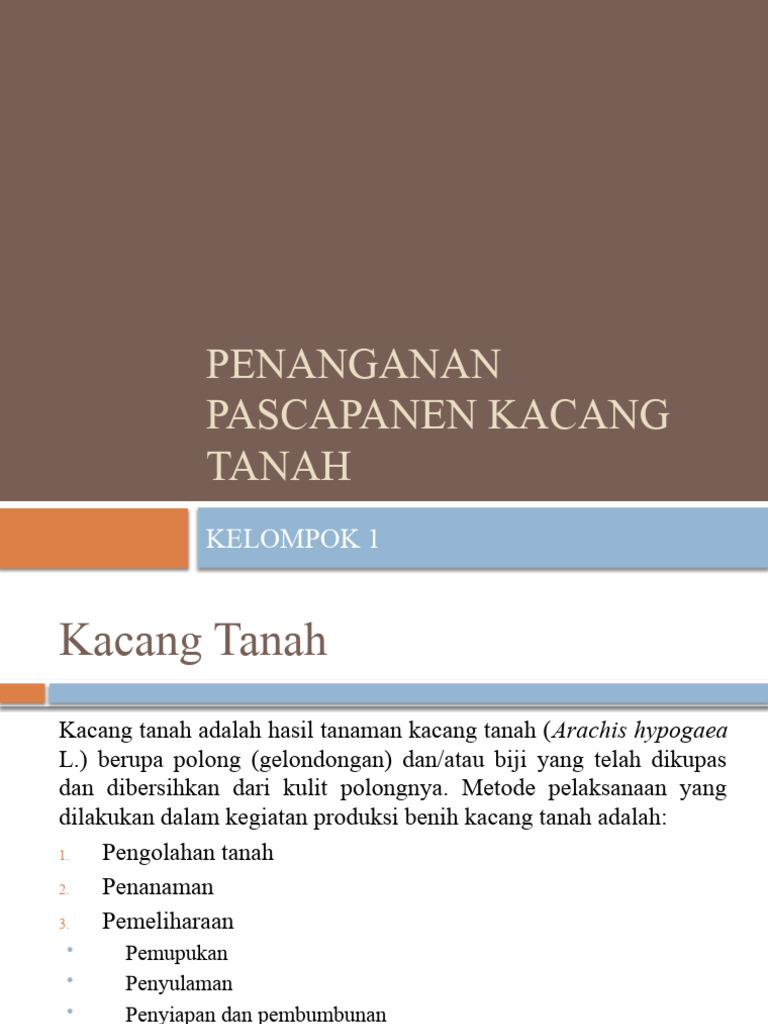 Penanganan Pascapanen Kacang Tanah | PDF | Teknologi & Rekayasa