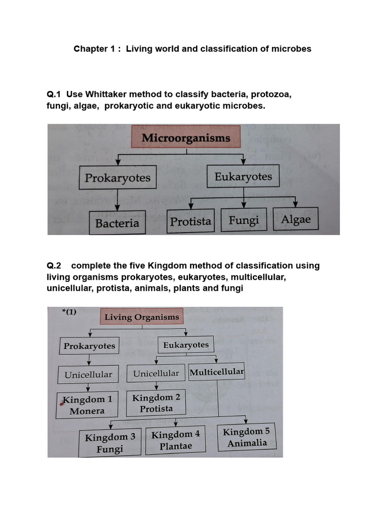 8th Science Chap 1 | PDF | Microorganism | Cell (Biology)