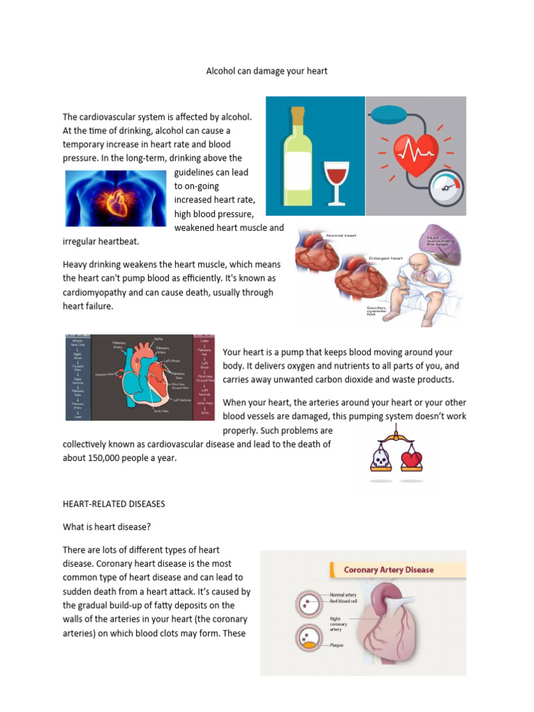 Alcohol Can Damage The Heart | PDF | Heart | Coronary Artery Disease