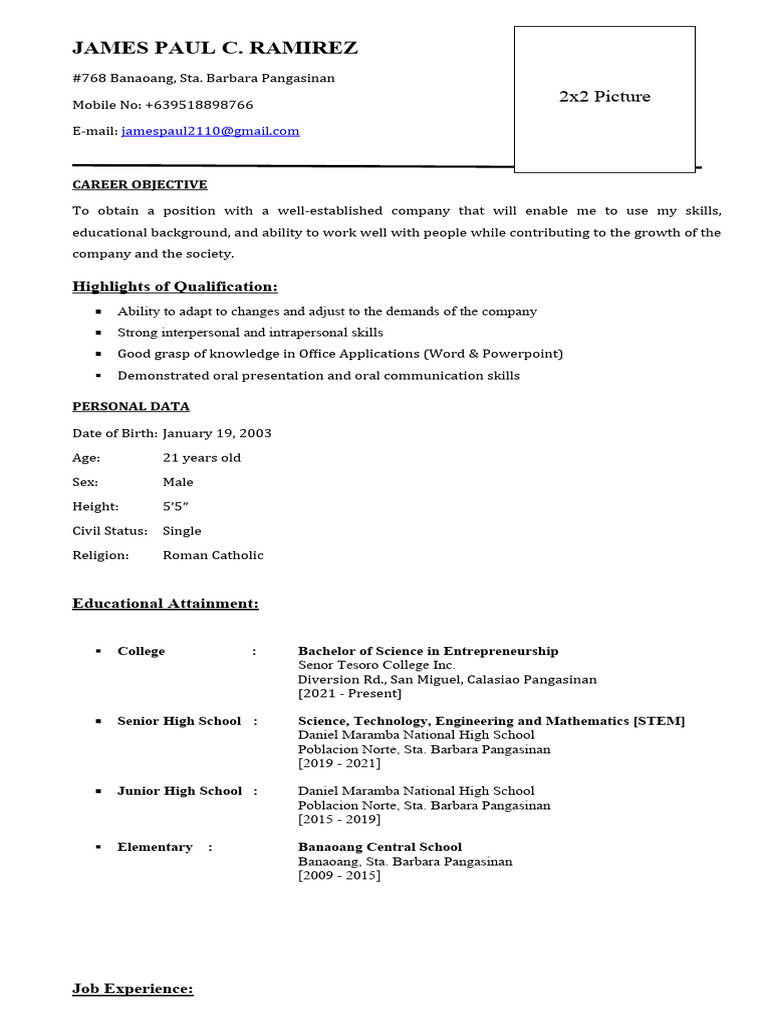 Resume Template JP | PDF