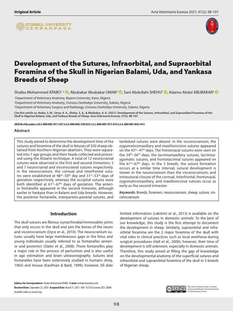 Development of The Sutures, Infraorbital, and Supraorbital Foramina of ...