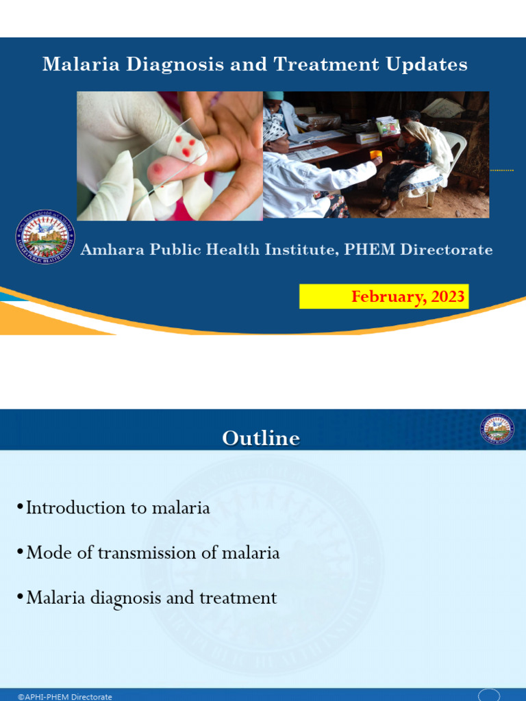 2023 Malaria Diagnosis & Treatment Guide | PDF | Malaria | Plasmodium