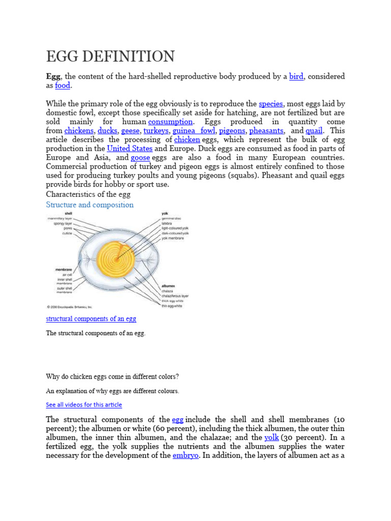 Egg Definition | PDF | Yolk | Egg