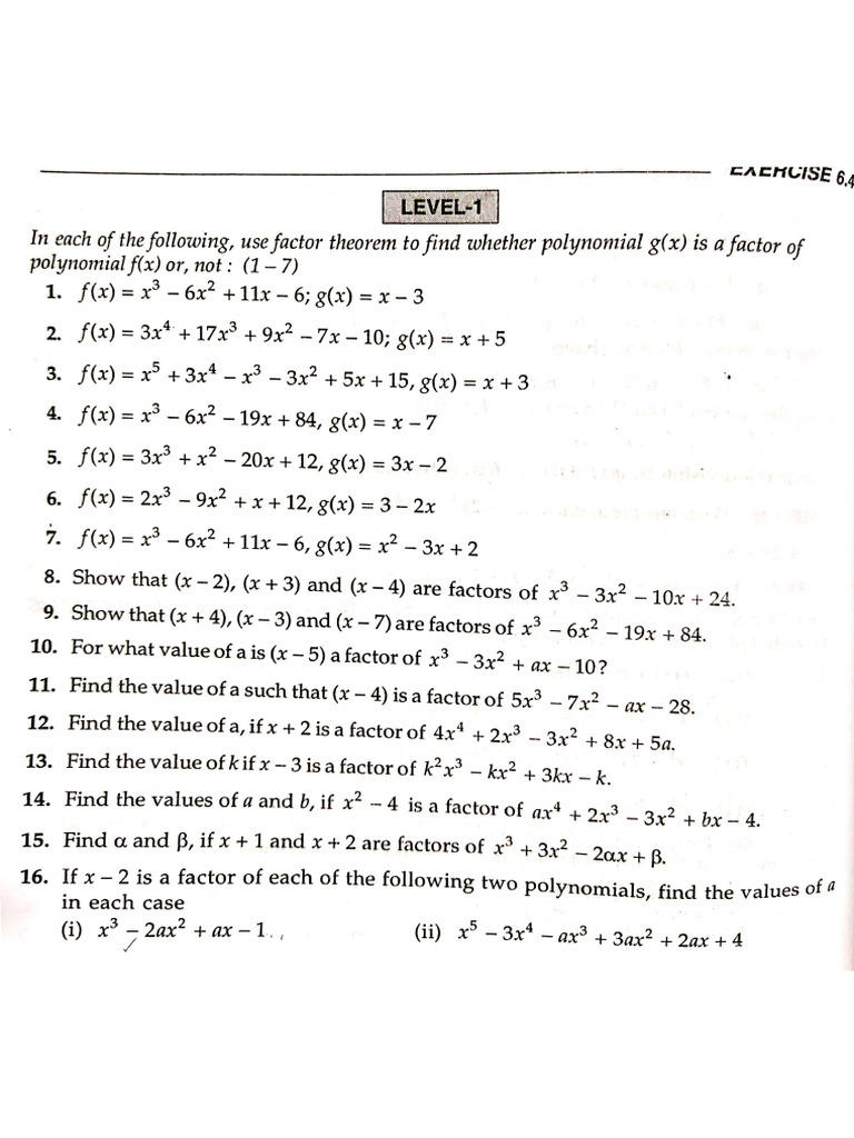 Polynomial Assignment 4 - Factor Theorem | PDF
