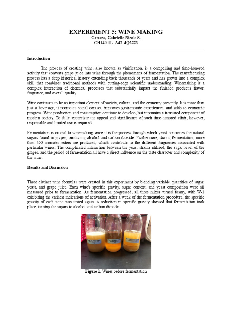 Wine Making | PDF | Fermentation In Winemaking | Winemaking