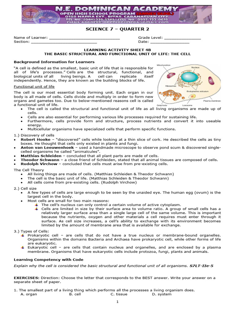 Science 7 Las 4b Cells | PDF | Cell (Biology) | Cytoplasm