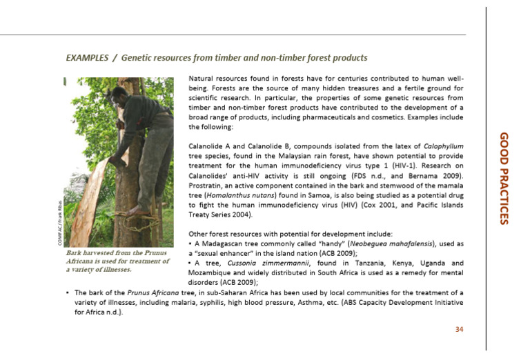 Cbd-Good-Practice-Guide-Forestry-Booklet-Web-En 39 | PDF | Health ...