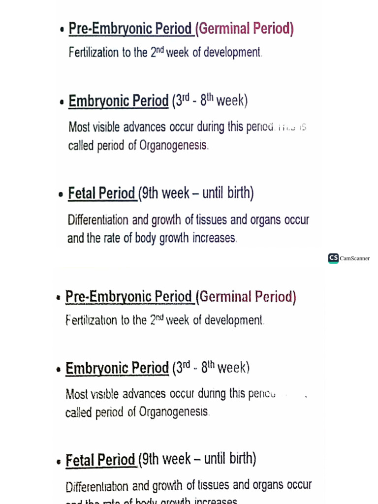 3rd Week of Development | PDF