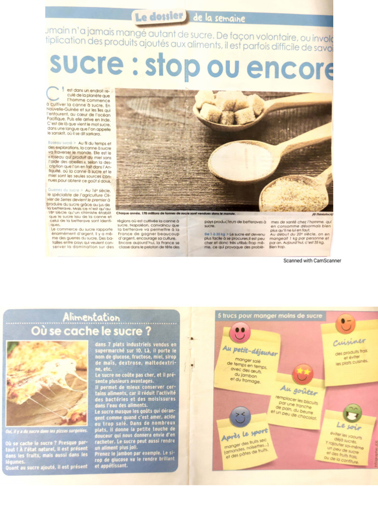 Article(Le Sucre) | PDF