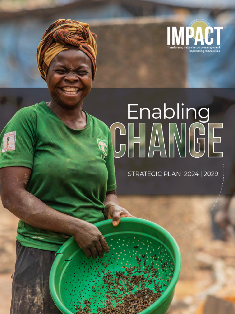 IMPACT Strategic Plan 2024-2029 Overview | PDF | Sustainability ...