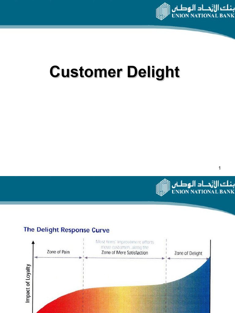 Customer Delight | PDF | Customer | Goal