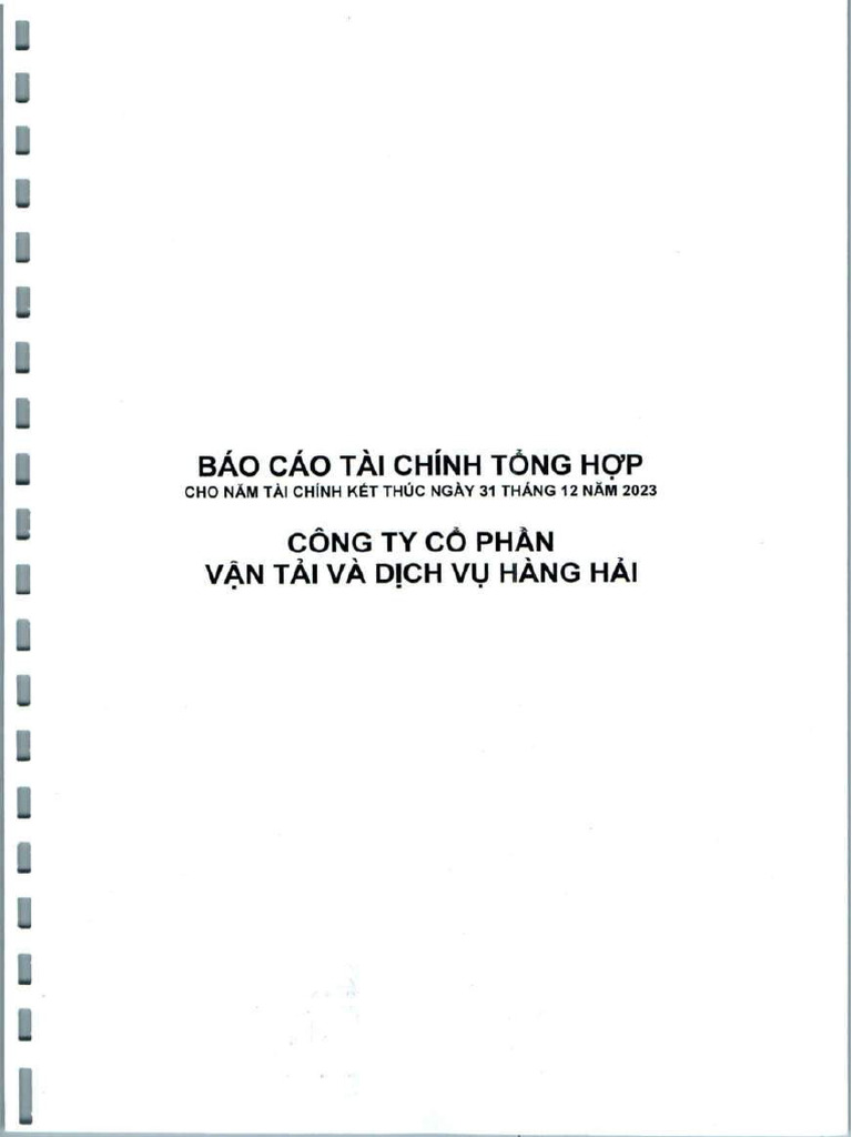 BCTC Tong Hop 2023 2 | PDF