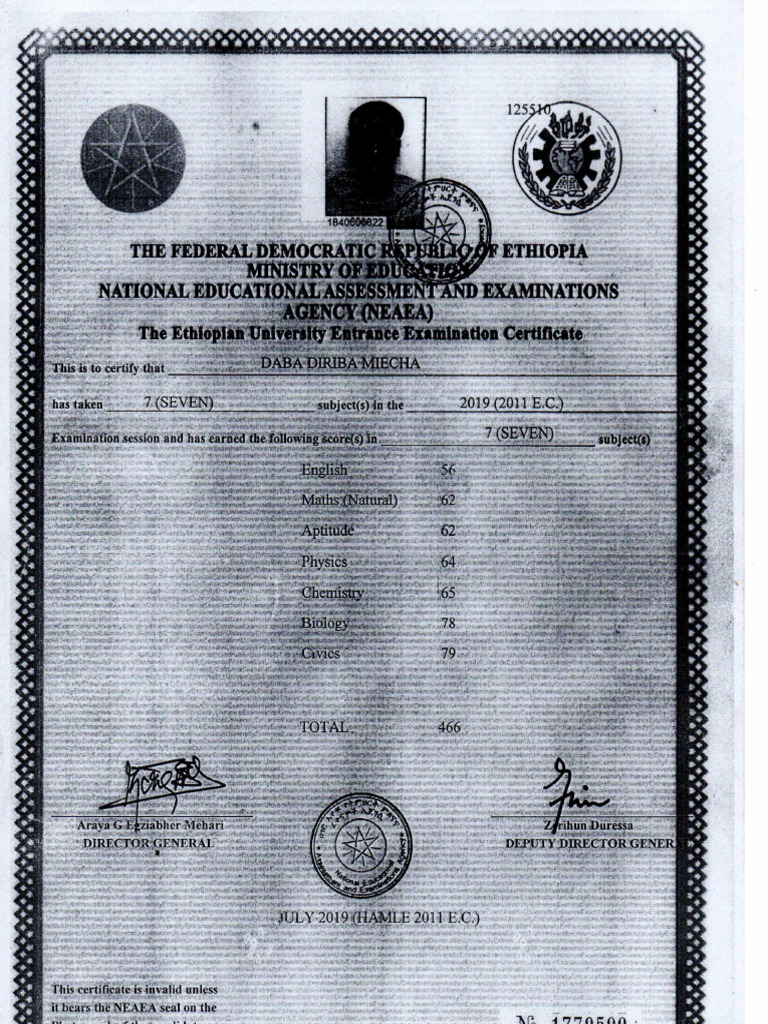 Grade 12 Entrance Certificate | PDF
