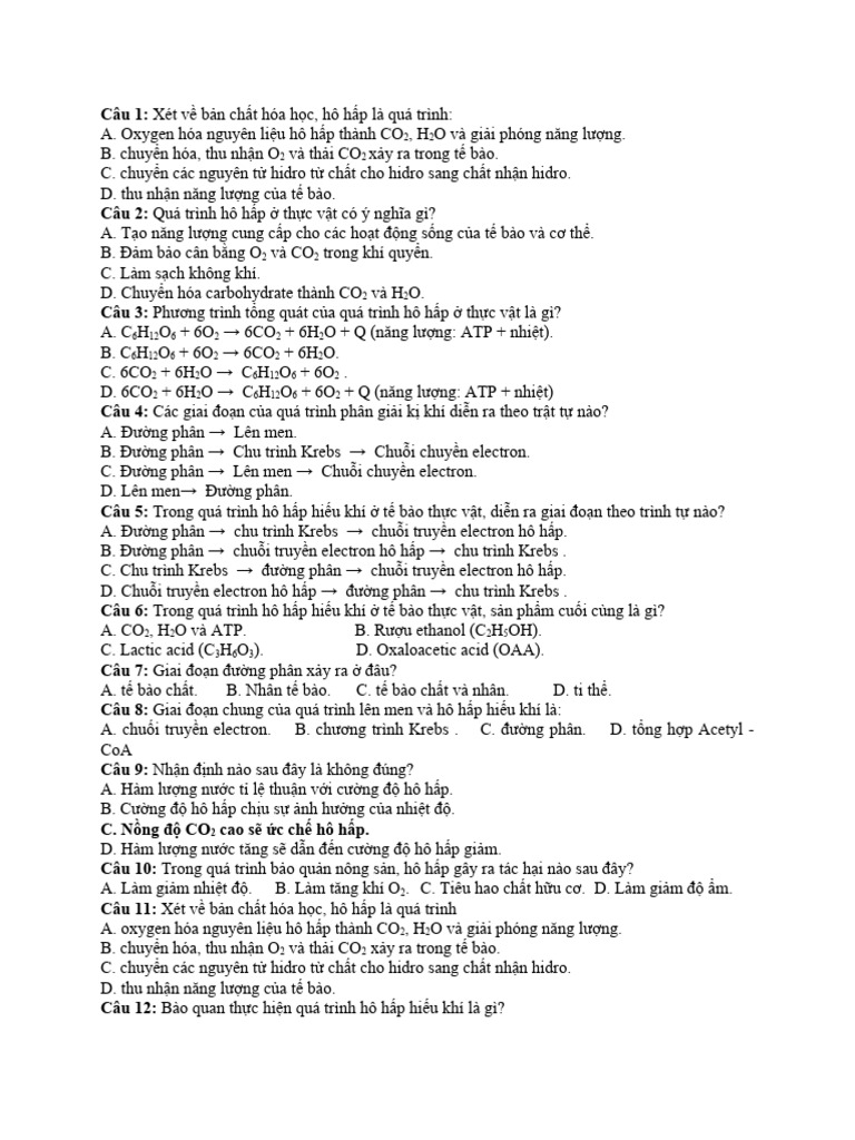 Soan KT C K 1 L P 11 | PDF