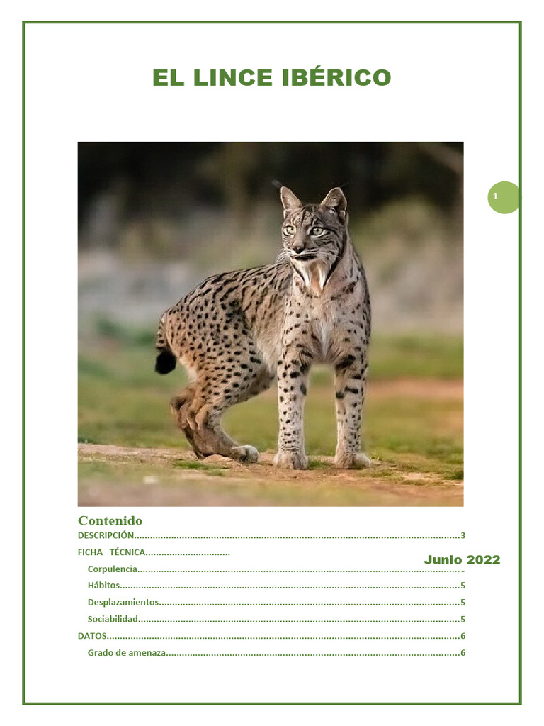 El Lince Ibérico | PDF | Zoología