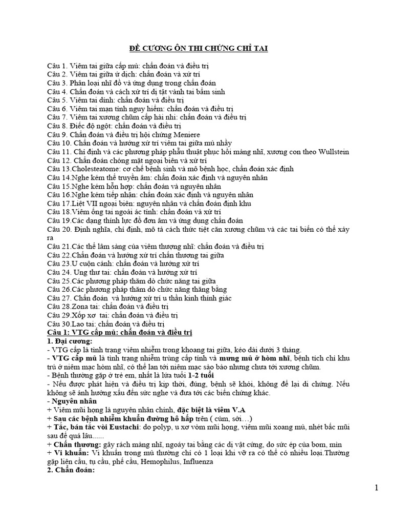 De Cuong Tai NT Ha 39 | PDF