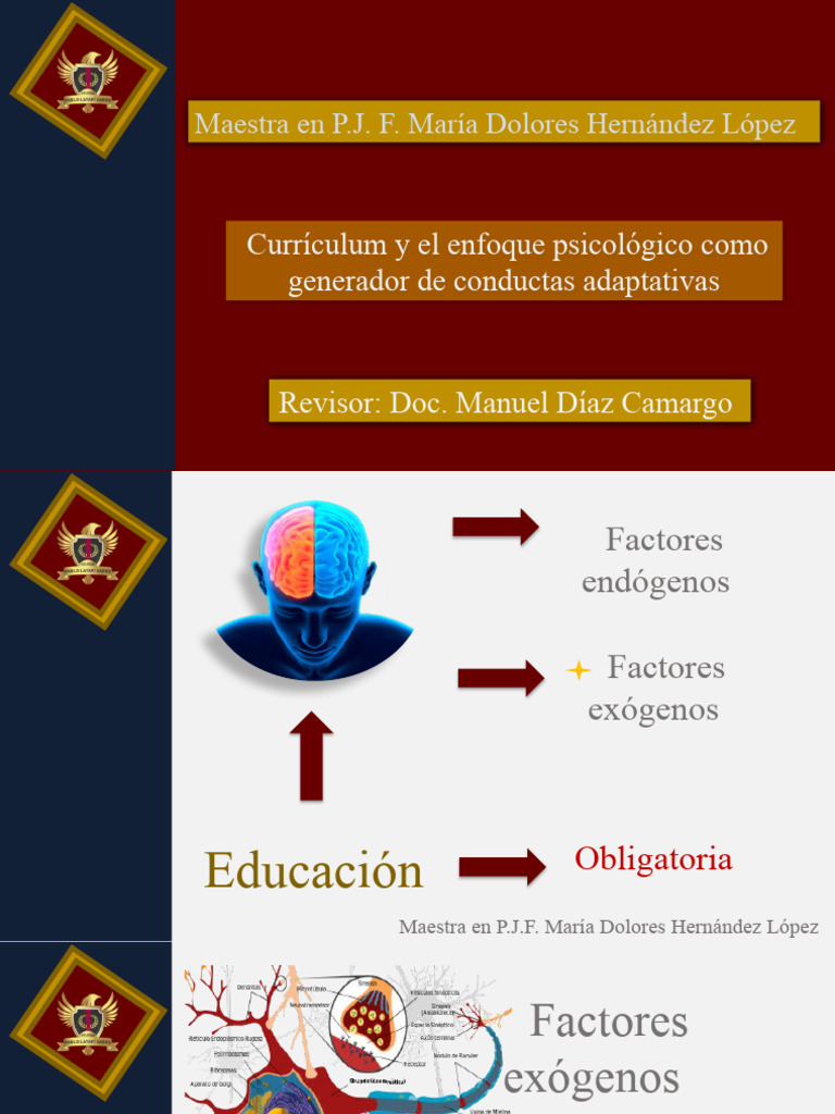 Fundamentos Del Currículum Diapositivas | PDF | Plan de estudios ...
