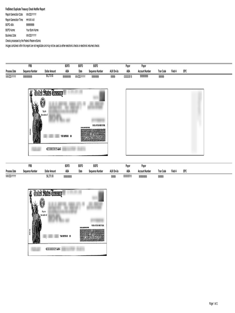 Feddetect Treasury Check Report Sample | PDF
