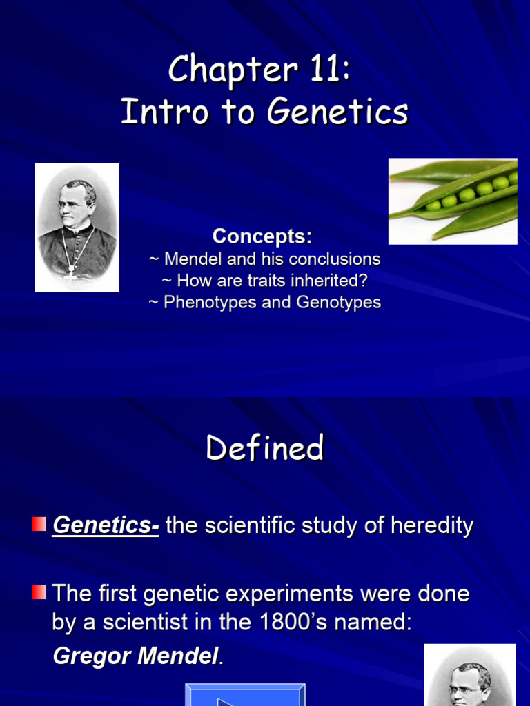 Chapter 11 Bio Notes - Genetics Intro | PDF | Dominance (Genetics ...