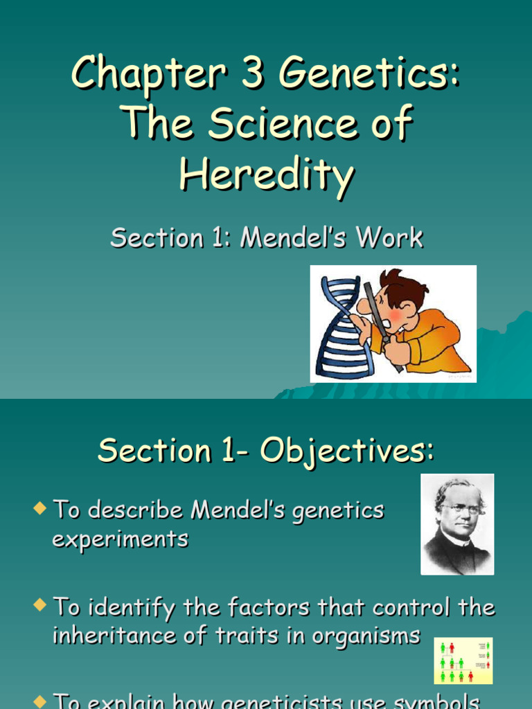 6th Grade CH 3 Genetics Notes | PDF | Dominance (Genetics) | Genetics