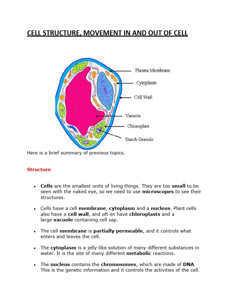Bio CLASS 8 Cell And, Movement in AND Out OF CELL | PDF | Osmosis ...