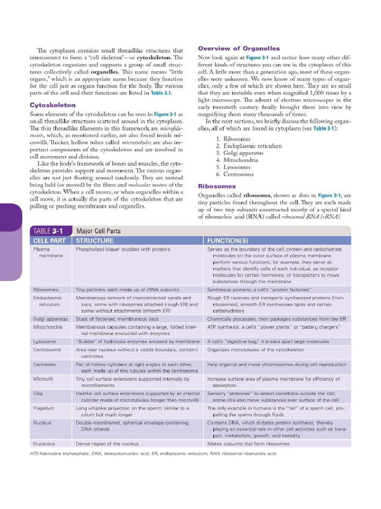 Screenshot - 2024 07 21 14 23 50 077 | PDF