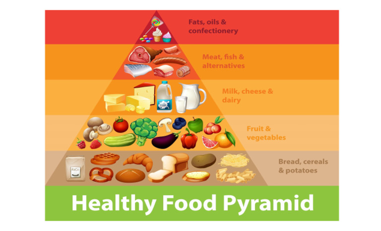 Food Pyramid | PDF