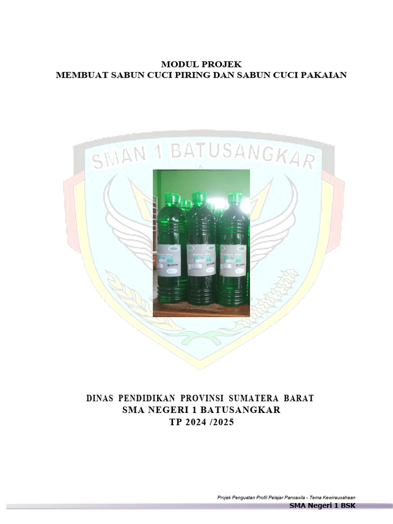 Modul Projek Kewirausahaan Sabun Cuci Piring Dan Sabun Cuci Pakaian | PDF | Karier ...