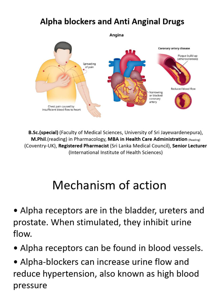Alpha Blockers and Anti-Anginal Medications | PDF | Medical Specialties ...