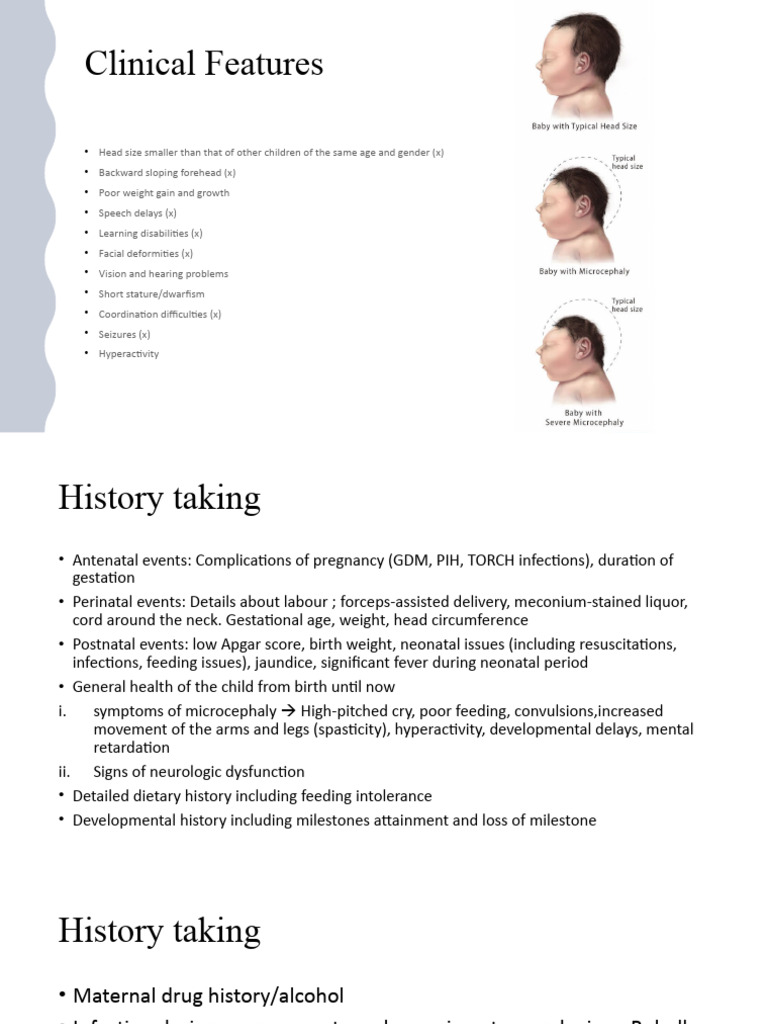 microcephaly | PDF | Prenatal Development | Diseases And Disorders