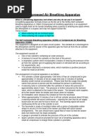 UNIPACK II BA Set Donning Instruction | PDF