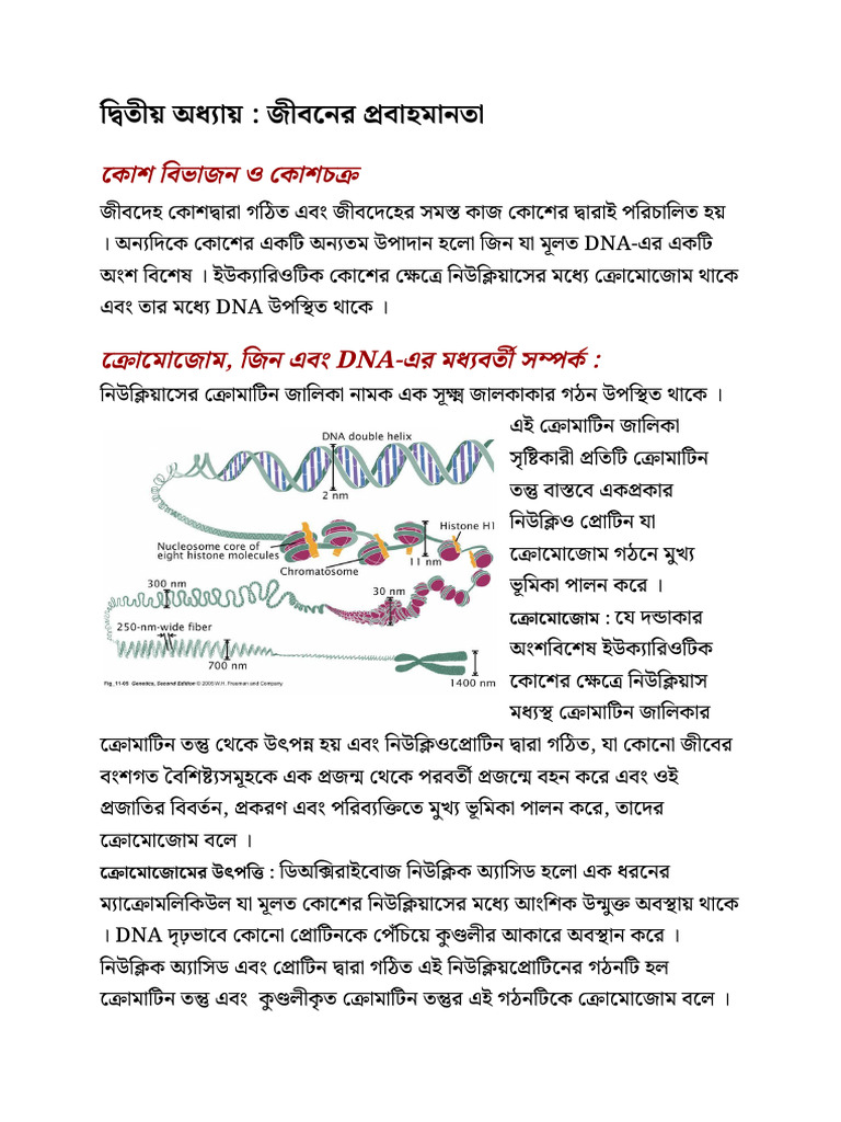 WB CL 10 Sample Life Science | PDF