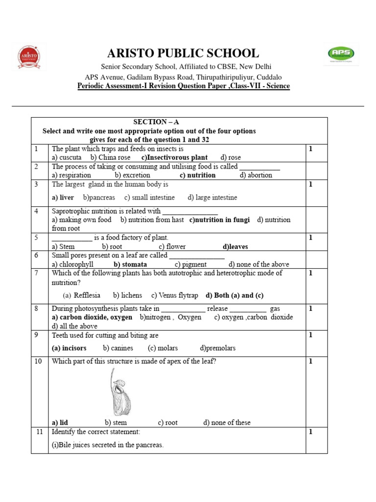 Science Revision Question and Answer (2024-2025) | PDF | Digestion ...