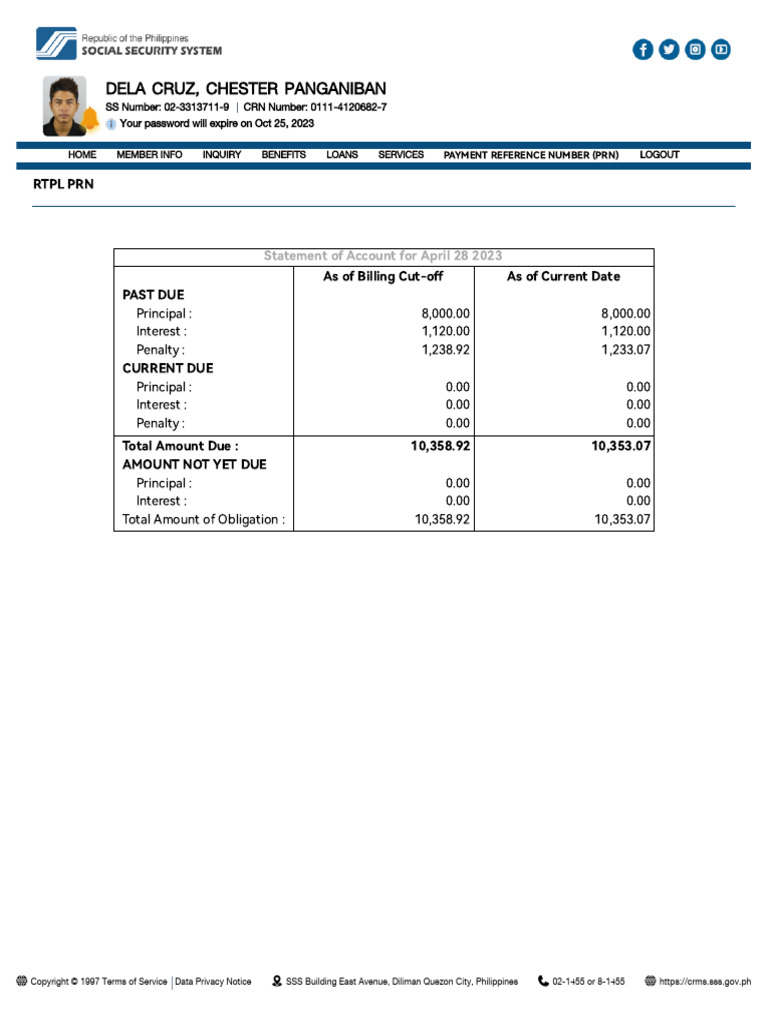 SSS SoA Calamity (Paid But Not Yet Reflected) | PDF