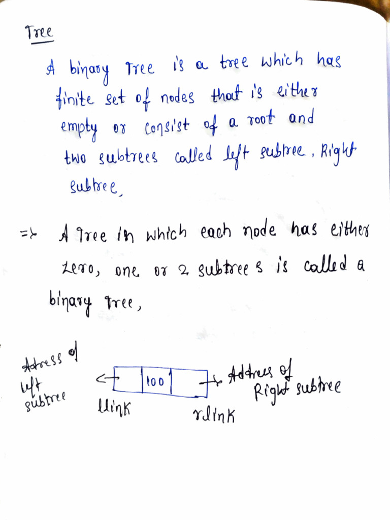 Understanding Binary Tree Structure | PDF