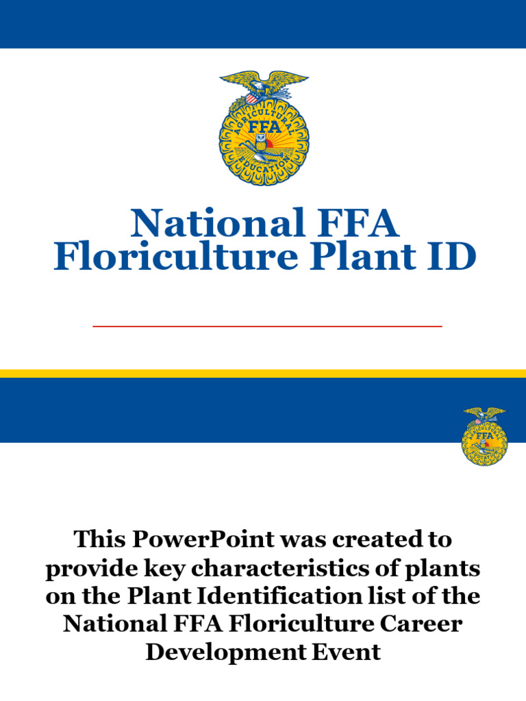 National FFA Floriculture Plant ID | PDF | Leaf | Flowers