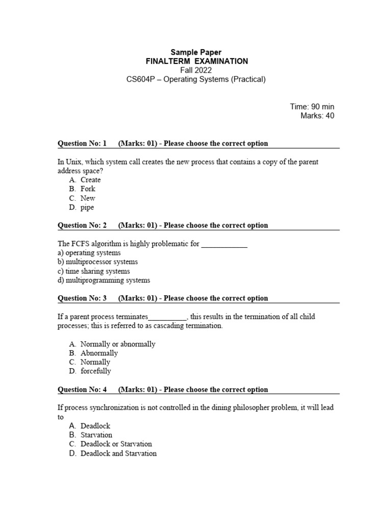 Final Sample Paper - CS604P | PDF | Computer Programming | Computing