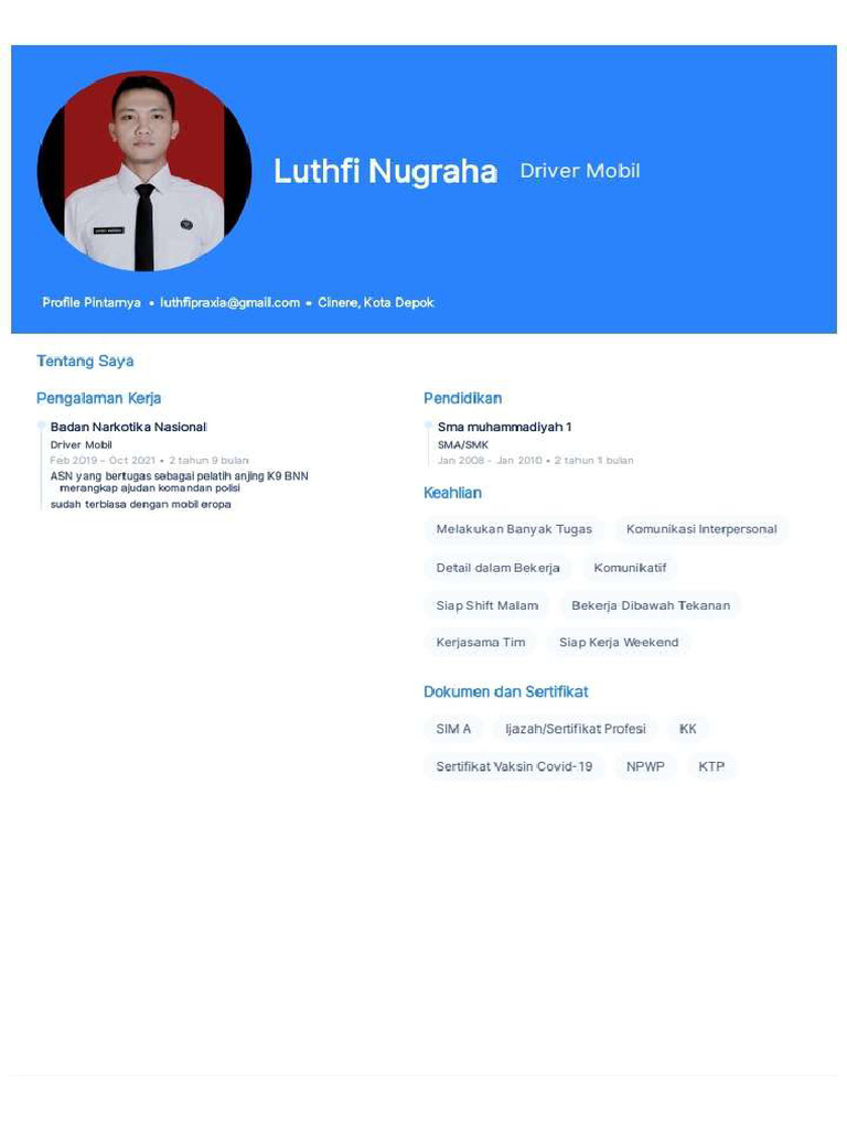 Luthfi CV | PDF