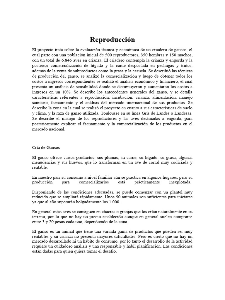 Ganzos | PDF | Aves | Carne