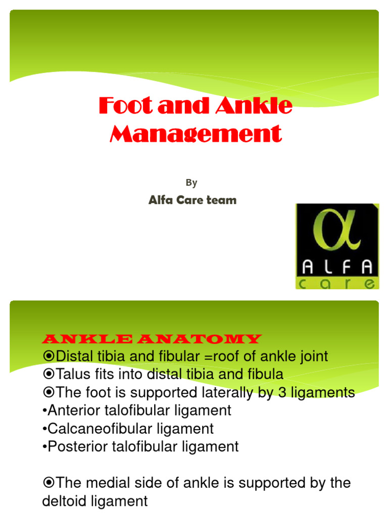 Ankle Anatomy and Instability Insights | PDF | Ankle | Foot