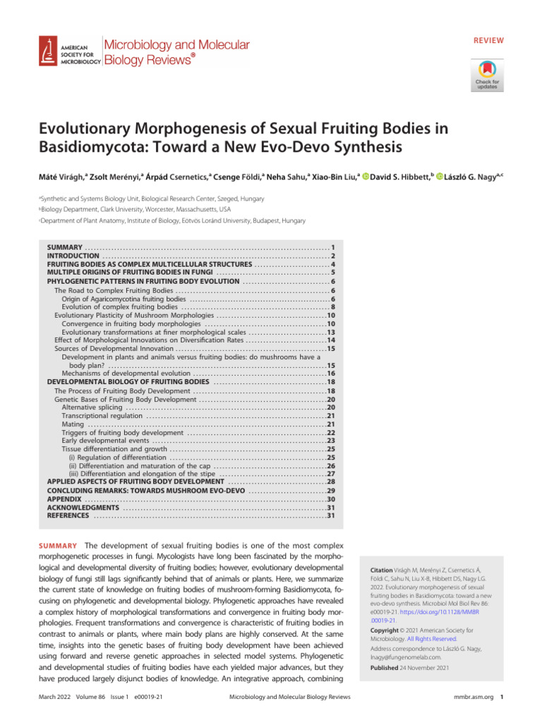 Sexual Fruiting Bodies Basidiomycota | PDF | Fungus | Phylogenetics