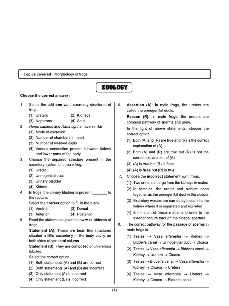 Frog Questions | PDF
