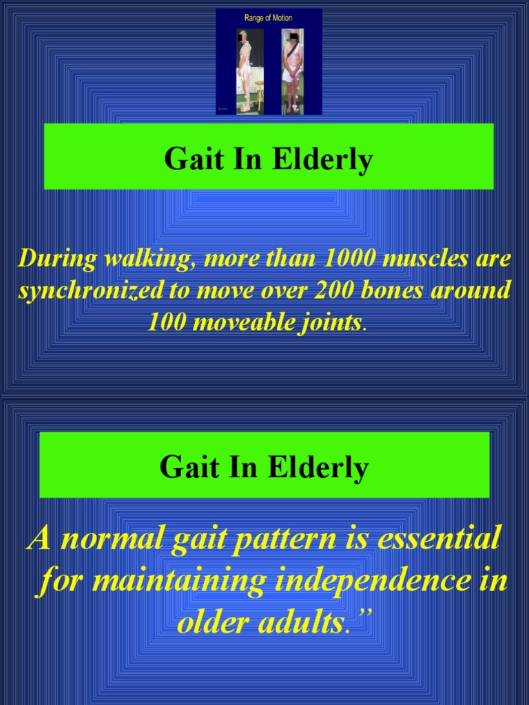 Elderly Gait | PDF | Brainstem | Cerebellum